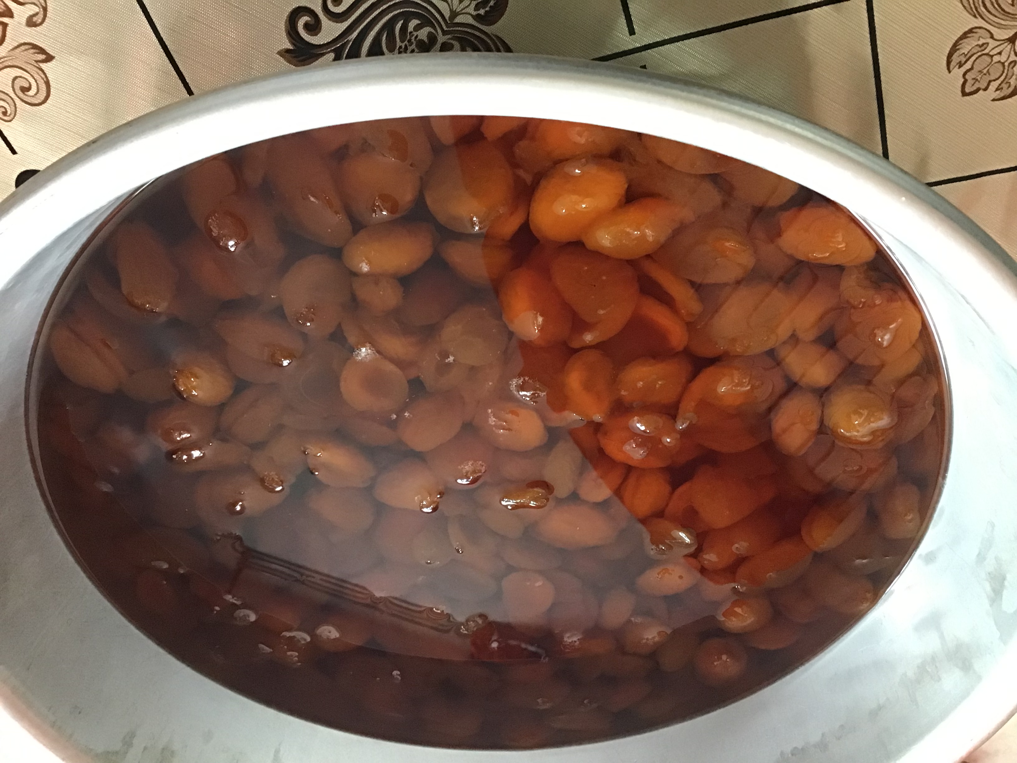 Абрикосы - обсуждение (33571875) на форуме nn.ru